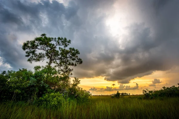 Florida scenery Stock Photos, Royalty Free Florida scenery Images ...