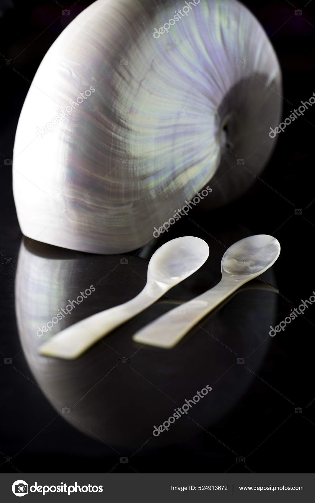 Vertical Shot Macoma Shell Two Spoons Made Its Material — Stock Photo ...