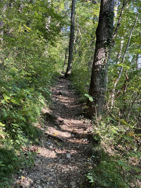 On the left side of the trail Stock fotók, On the left side of the ...