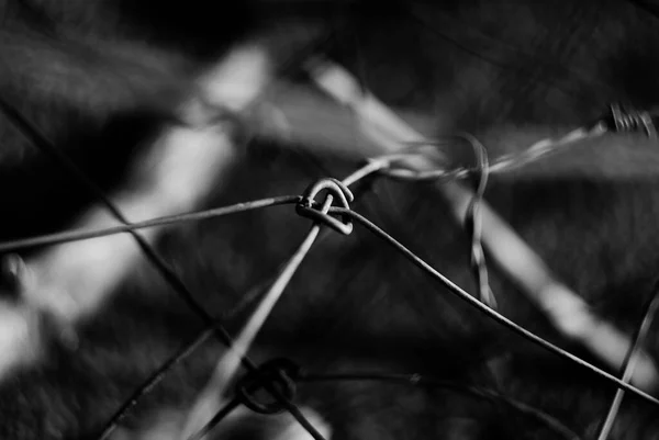 Sun and barbed wire fotos de stock, imágenes de Sun and barbed wire sin ...