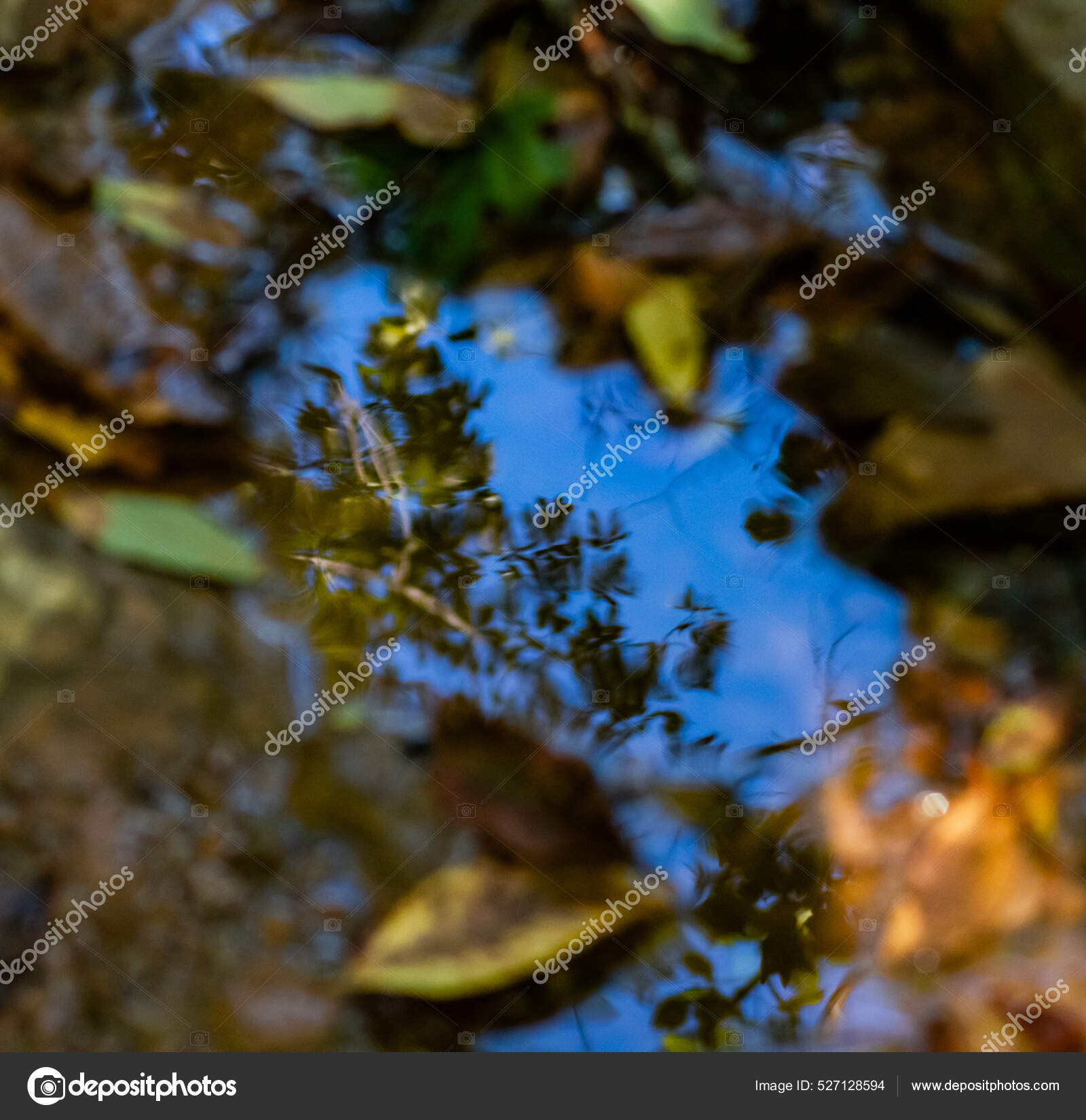 Small Puddle