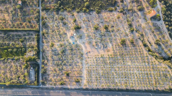 Florida homes aerial Stock Photos, Royalty Free Florida homes aerial Images | Depositphotos