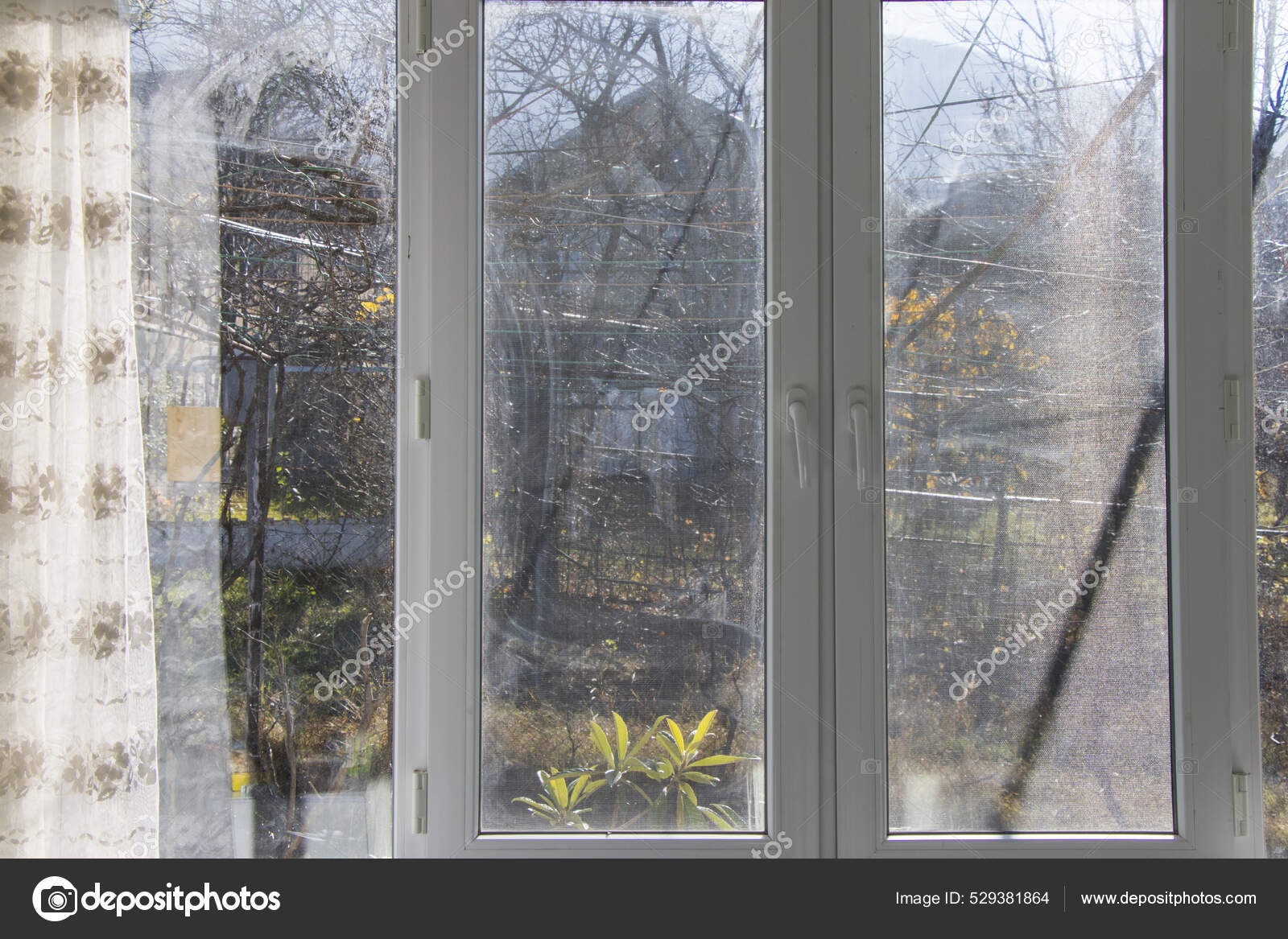 House Window Texture