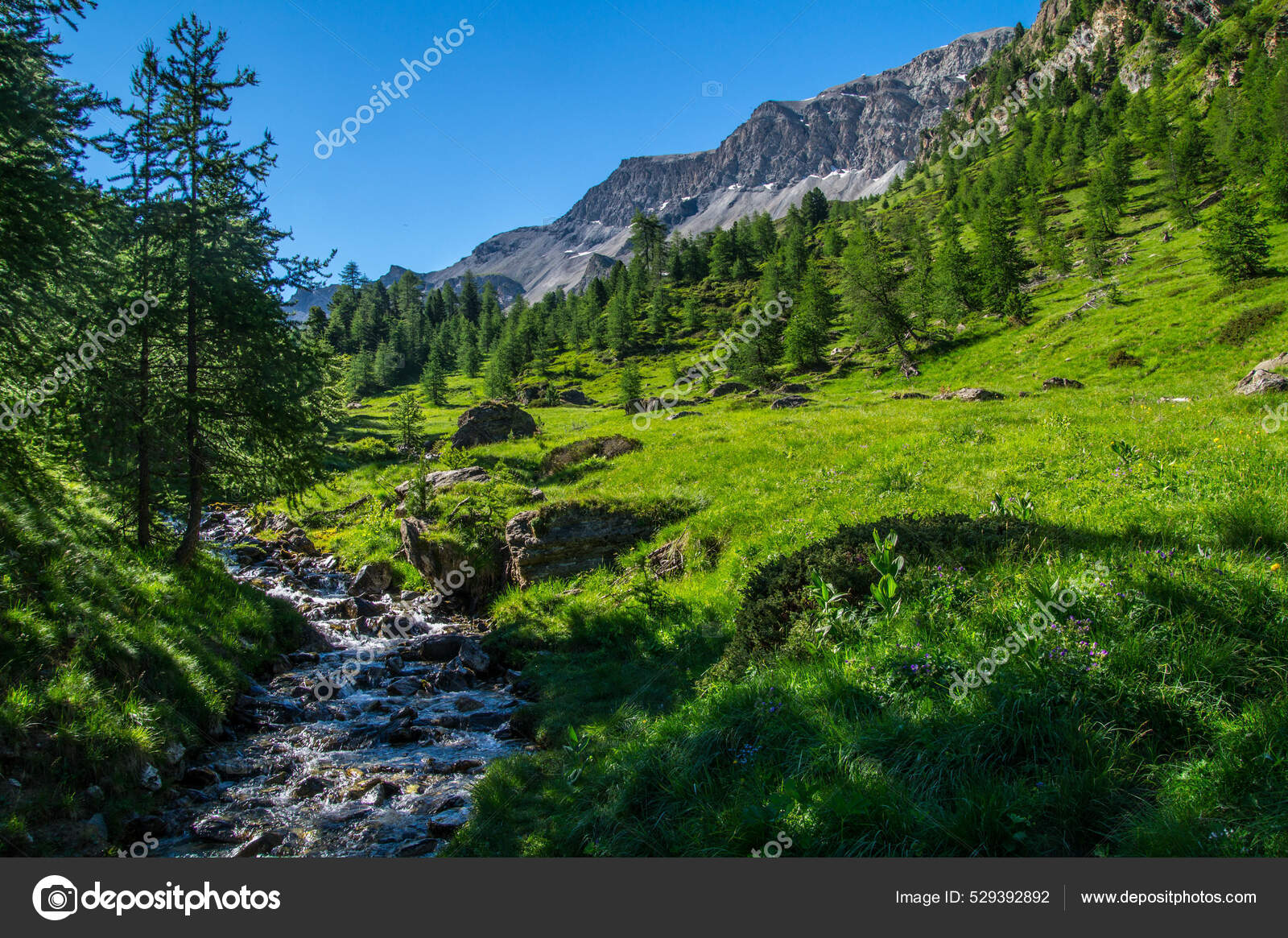Mesmerizing View Highland Green Trees Mountains Background Stock Photo ...