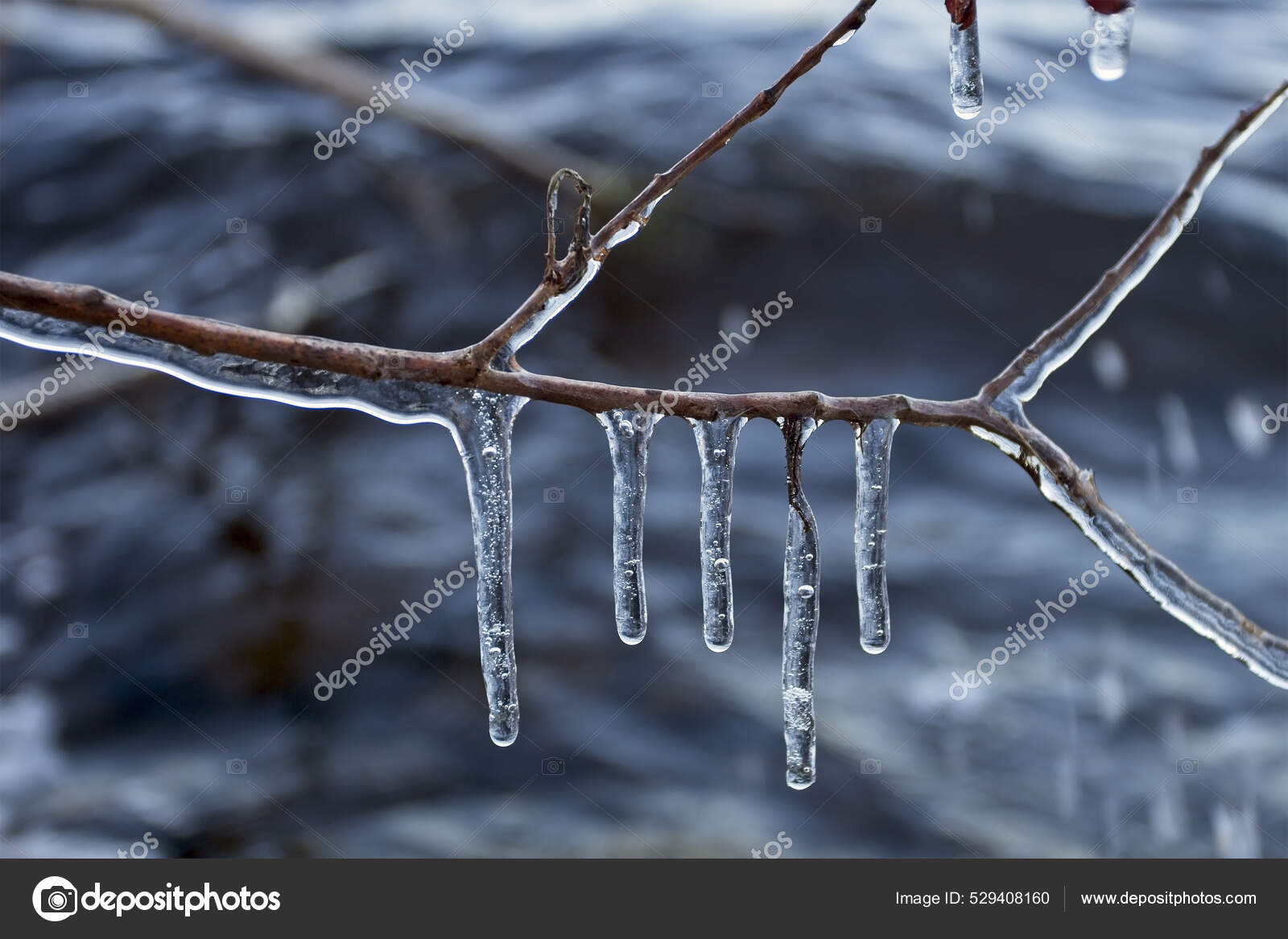 Icicles On Trees