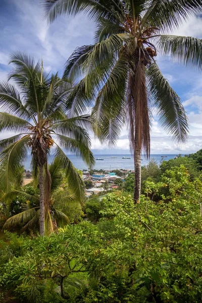 Mendana Stock Photos, Royalty Free Mendana Images | Depositphotos