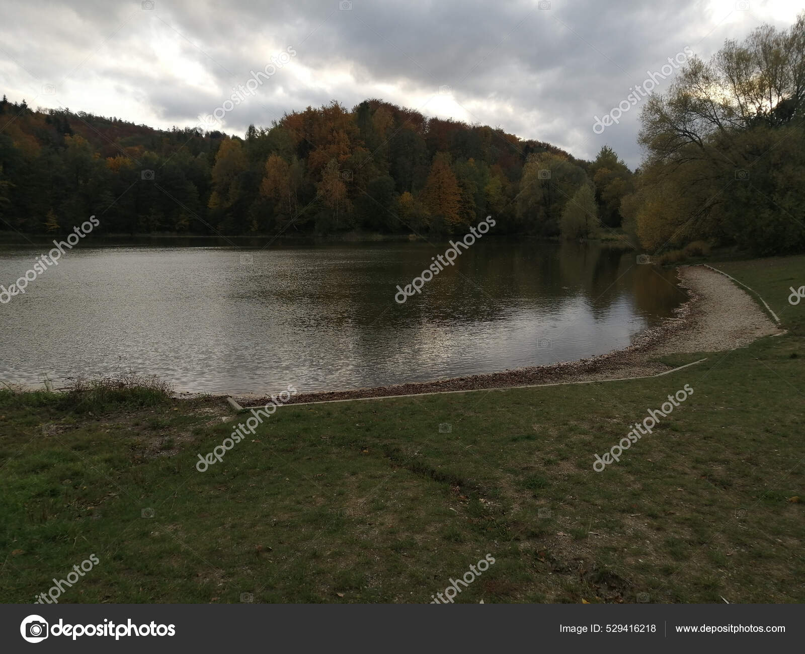 Beautiful Shot Forest Lake Scene — Stock Photo © Wirestock #529416218