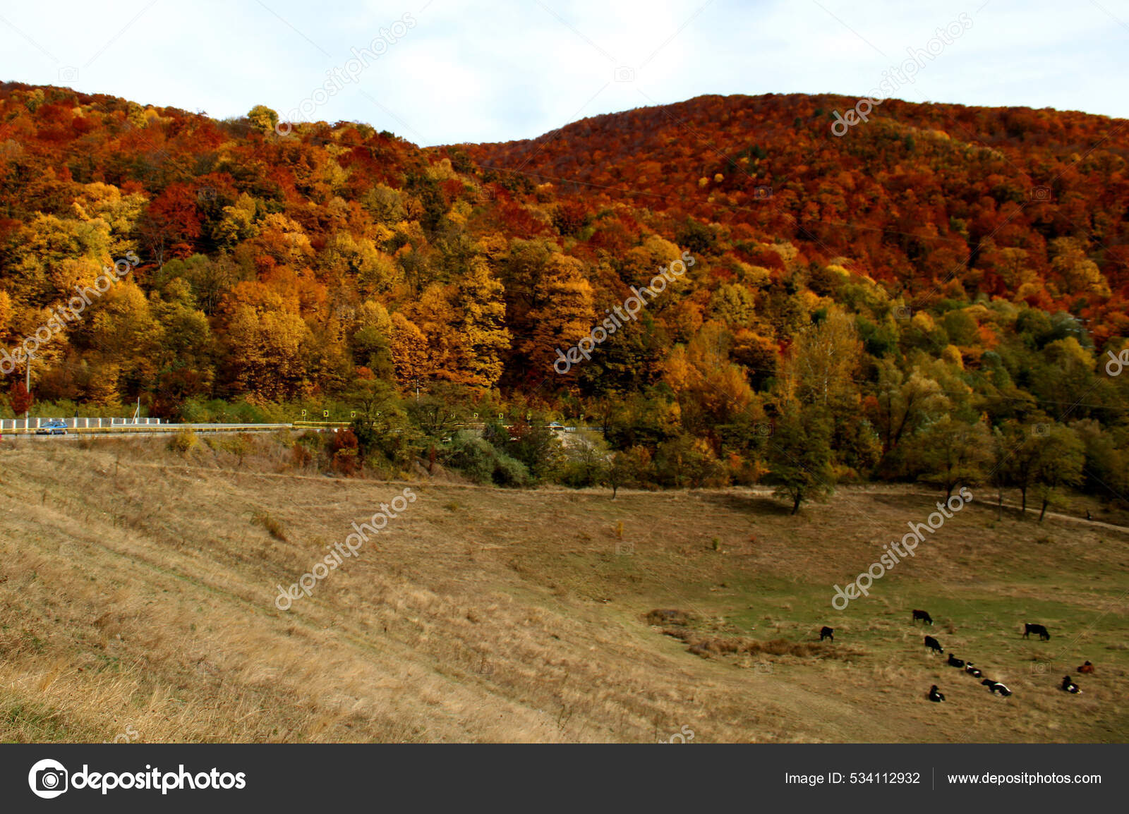 Beautiful Scenery Amazing Autumn Colors Cozia Olt River Valley — Stock ...