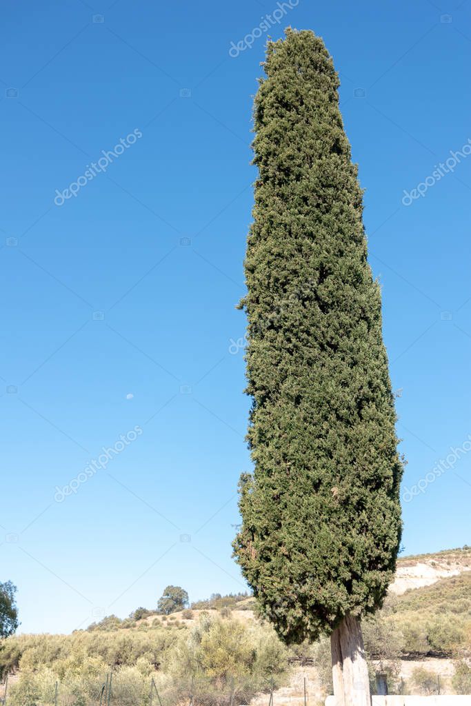 CRETE, GRECIA - 26 de septiembre de 2021: Un disparo vertical de un ...