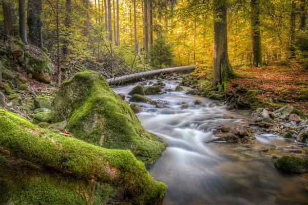 A beautiful view of a running river in the forest - Stock Image ...
