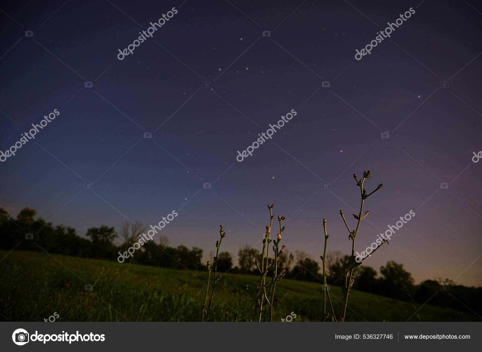 Beautiful Starry Night Sky Field Stock Photo by ©Wirestock 536327746
