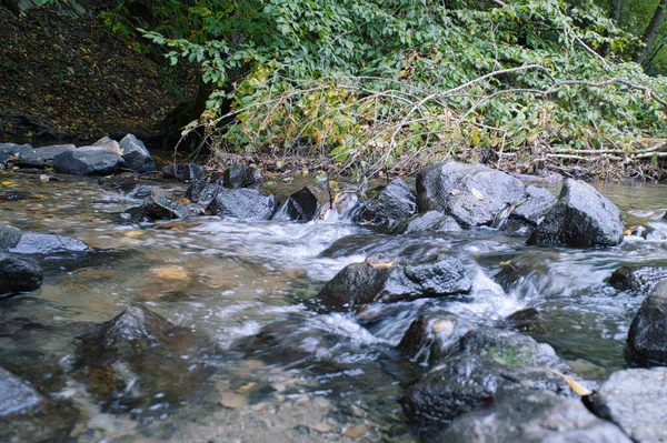 Downstream Stock Photos, Royalty Free Downstream Images | Depositphotos