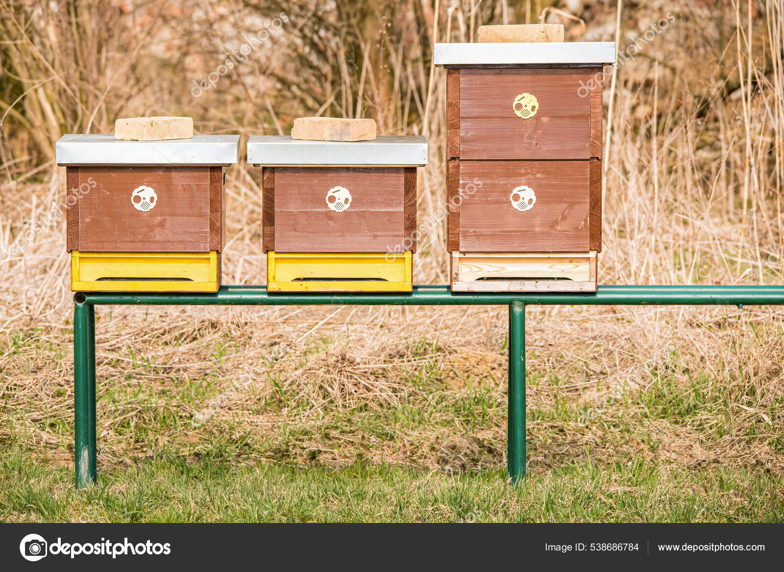Three Small Apiaries Standing Side Side Metal Structure Stock Photo by ...