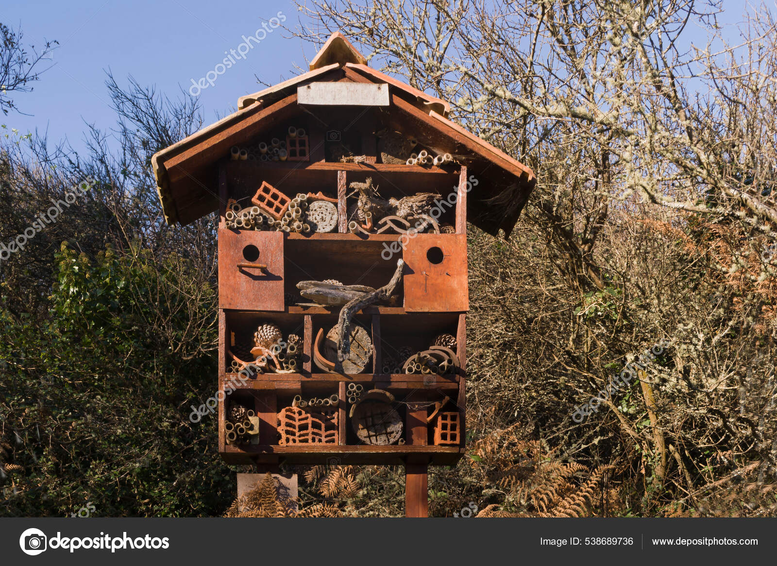 Insect House Park — Stock Photo © Wirestock #538689736
