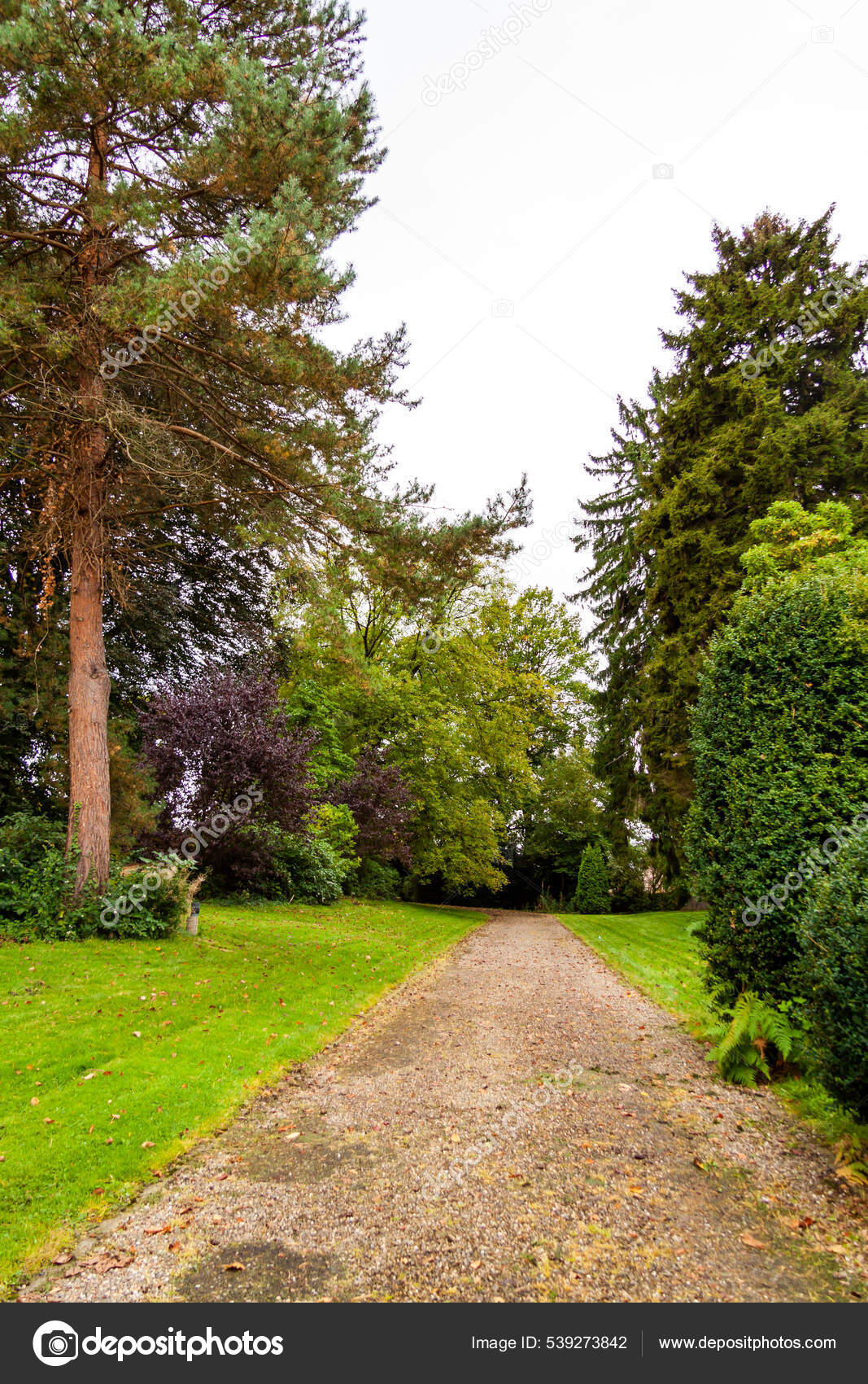 Beautiful View Park — Stock Photo © Wirestock #539273842