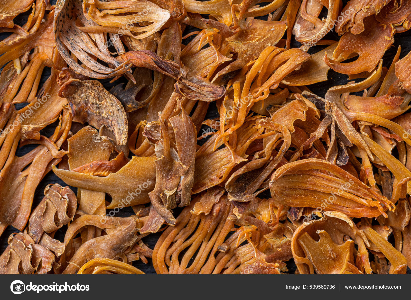 Dried Roots Dry Tea — Stock Photo © Wirestock #539569736
