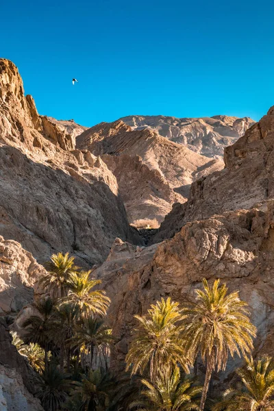 Wallpaper de desierto de israel Stock Photos, Royalty Free Wallpaper de ...