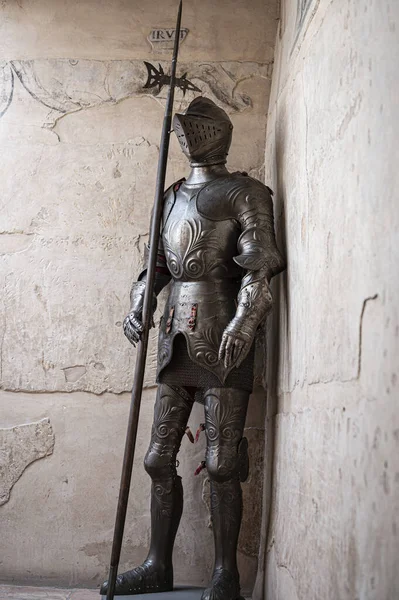 Medieval Castle Guards
