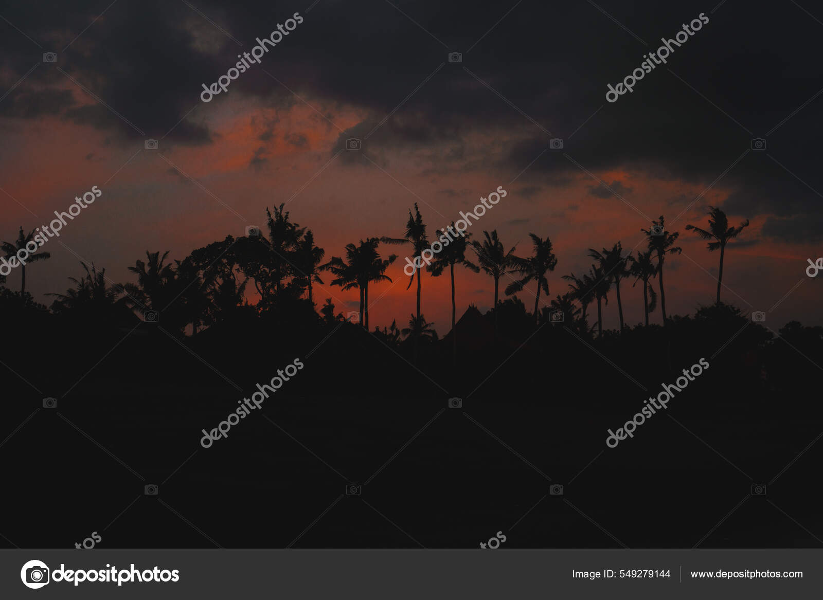 Palm Trees Sunset Tropical Island — Stock Photo © Wirestock #549279144