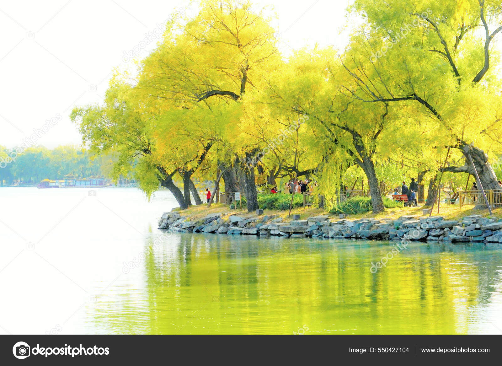 Beautiful Landscape Trees River — Stock Photo © Wirestock #550427104