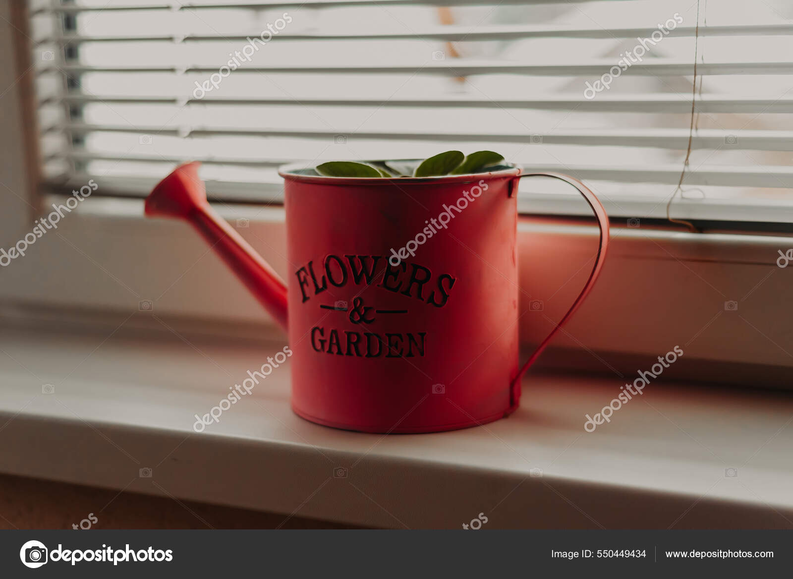 Red Watering Can Pot White Background — Stock Photo © Wirestock #550449434