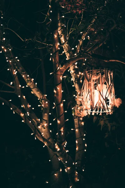 Luminaria nights Stock Photos, Royalty Free Luminaria nights Images ...