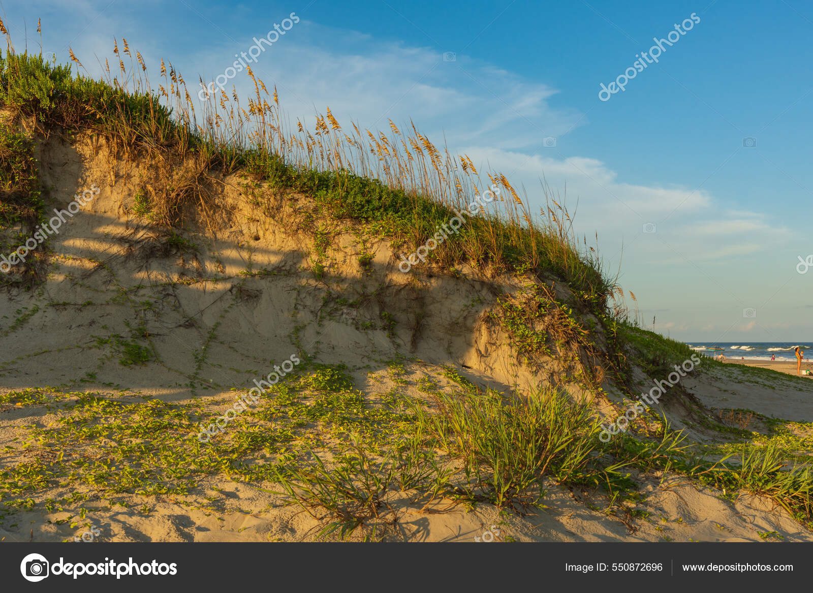 Beautiful View Sea Coast — Stock Photo © Wirestock #550872696