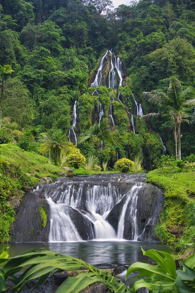 Rainforest waterfall Stock Photos, Royalty Free Rainforest waterfall ...