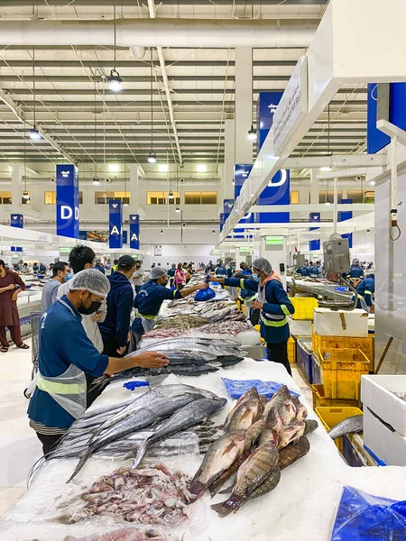 World biggest fish market Stock Photos, Royalty Free World biggest fish ...
