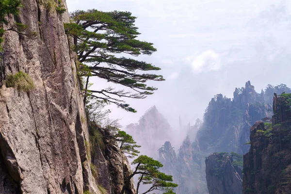 2,670,025 imágenes de Wallpaper beautiful woman tianzhu mountain libres ...