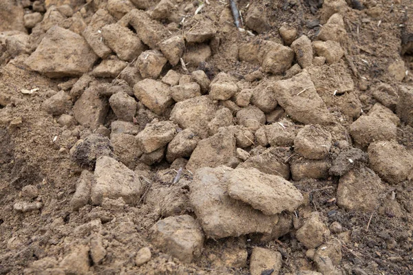 Soil structure Stock Photos, Royalty Free Soil structure Images ...