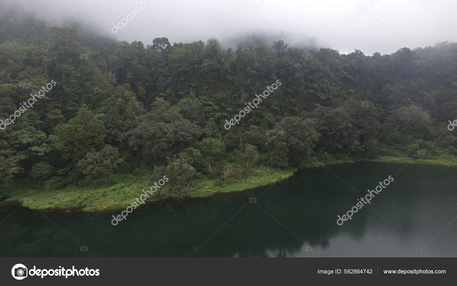 Beautiful Landscape River Forest — Stock Photo © Wirestock #562864742