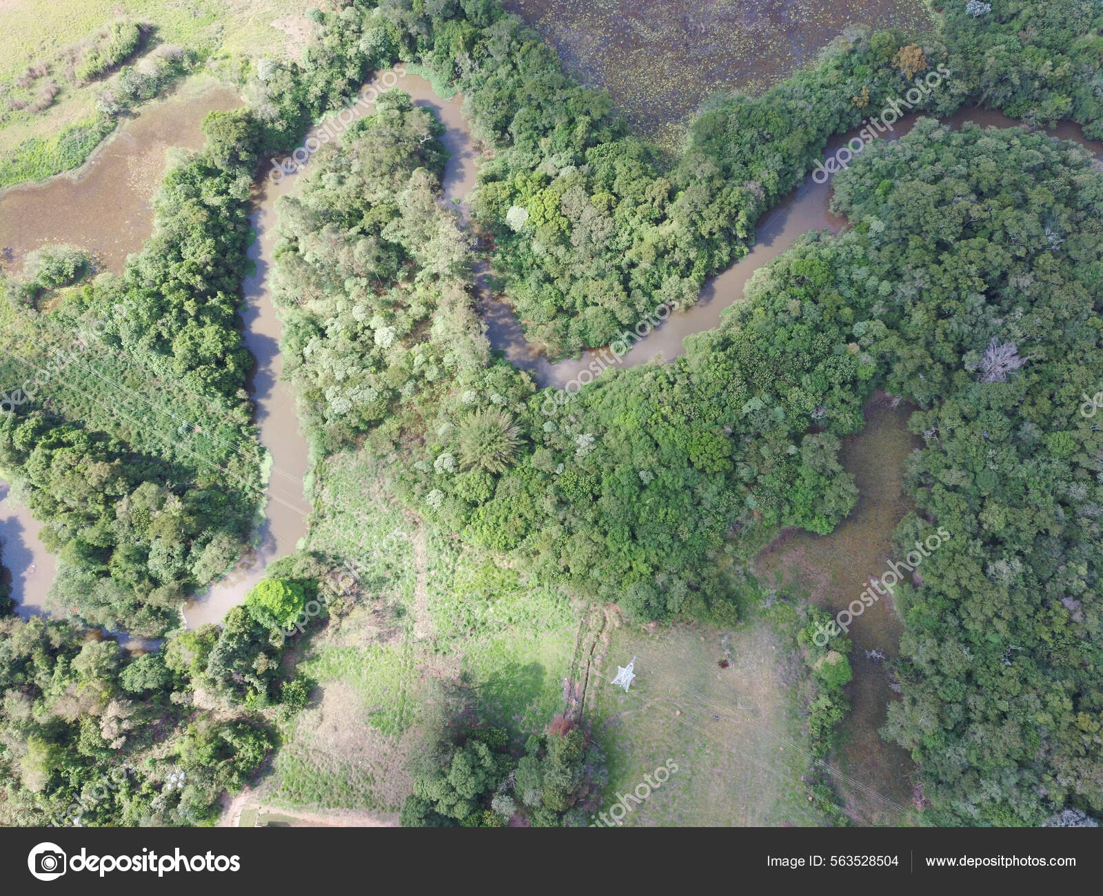 Aerial View River Forest — Stock Photo © Wirestock #563528504