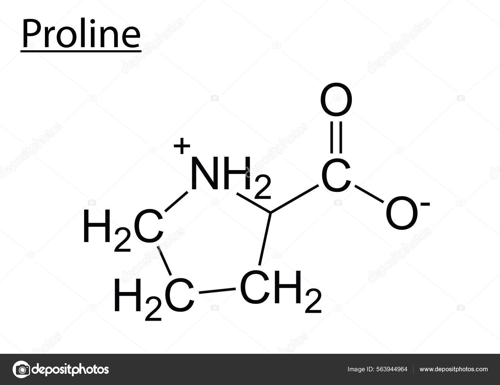 Chemical Formula Plant Illustration Vector White Background Stock ...
