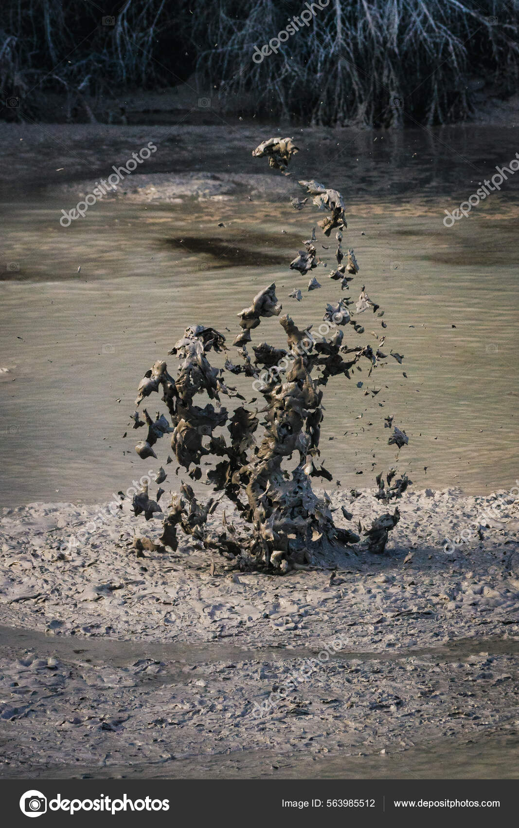 River Puddle Desert High Quality Photo — Stock Photo © Wirestock #563985512