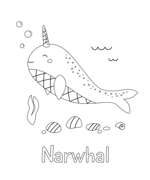 Narwhal outline and color Vector Art Stock Images | Depositphotos