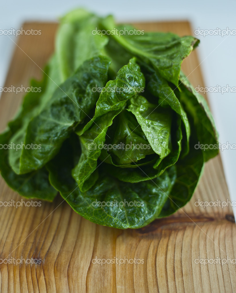 Romaine lettuce Stock Photo by ©Dorisindycka 40005733