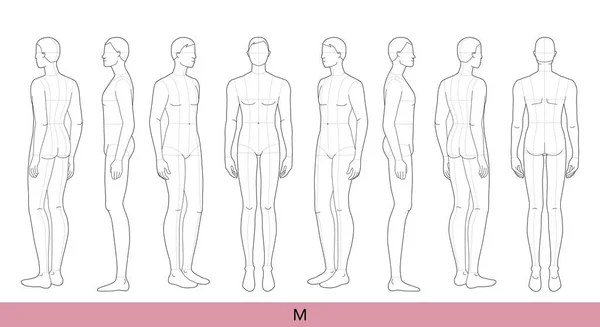 11,756,451 Body type men Vector Images | Depositphotos