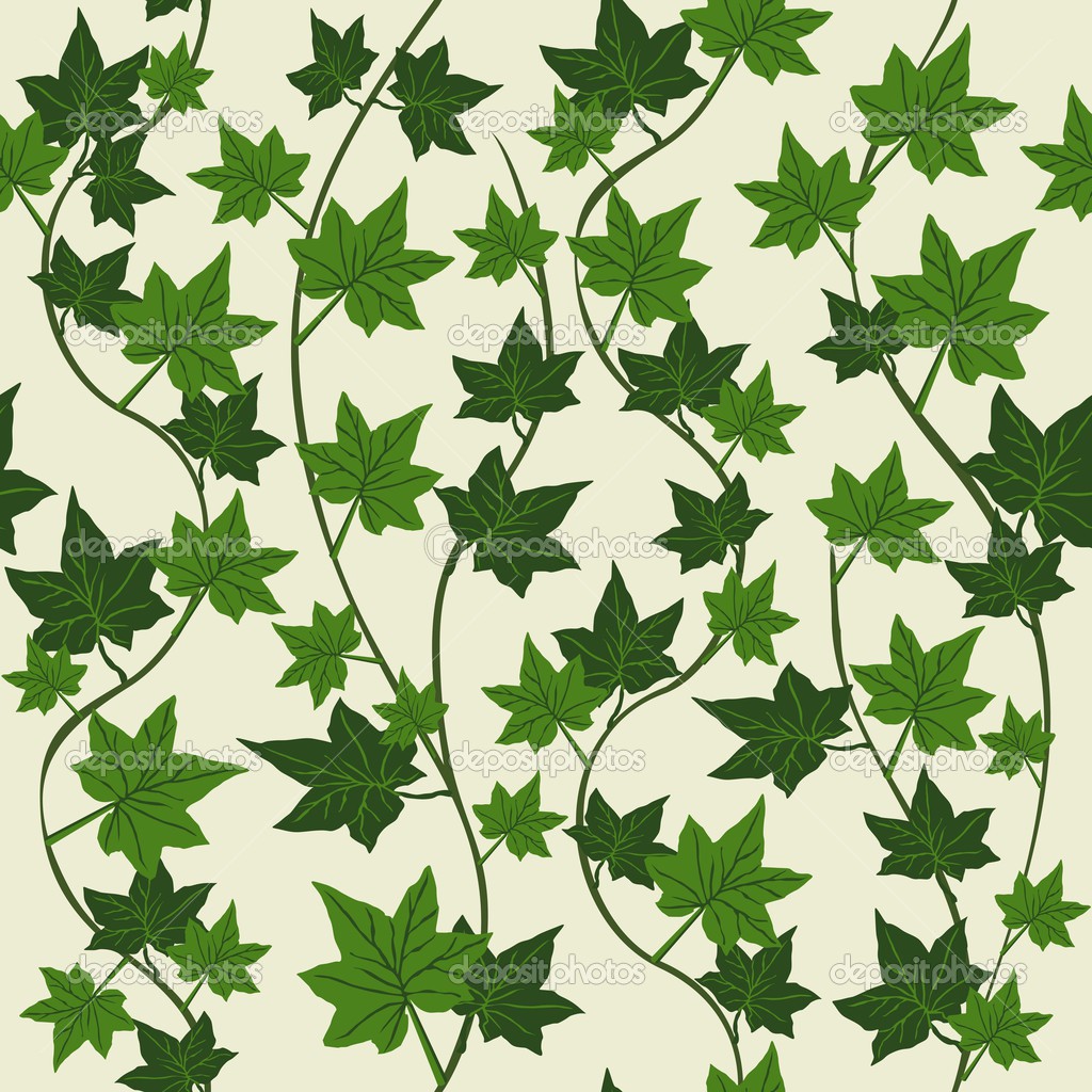 Ivy pattern — Stock Vector © PGMart #42906137