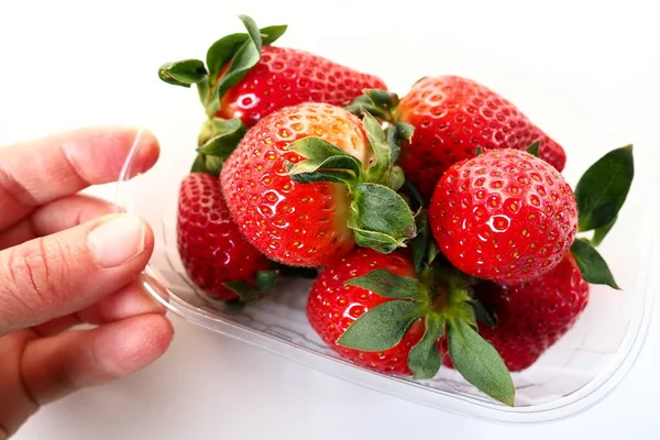 Strawberries in plastic packaging Stock Photos, Royalty Free ...
