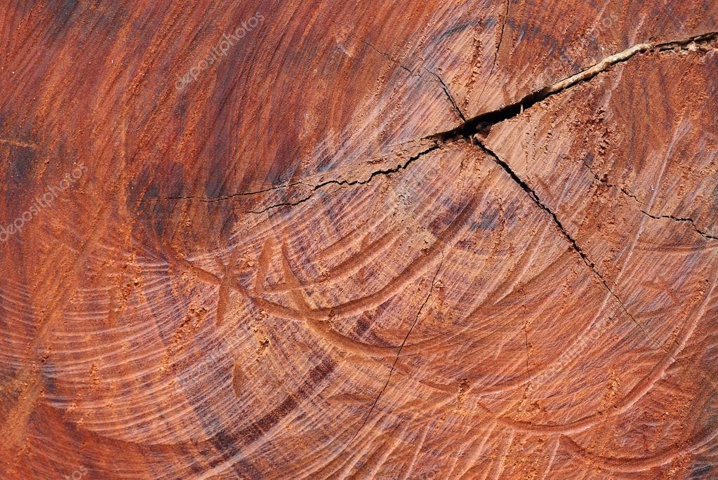Surface wood log texture background Stock Photo by ©wittybear 38684057