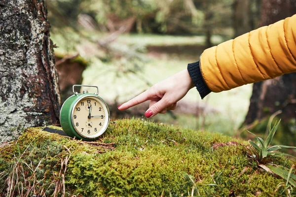 Clock nature Stock Photos, Royalty Free Clock nature Images | Depositphotos