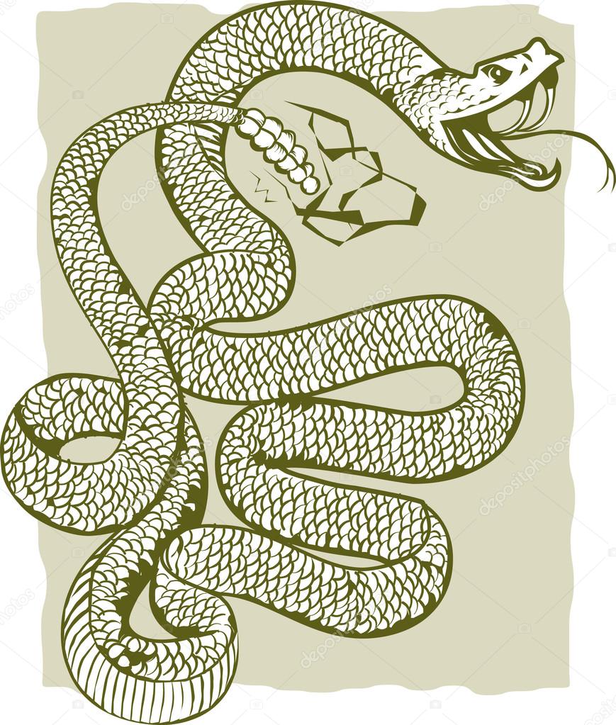 Striking Rattlesnake Drawings