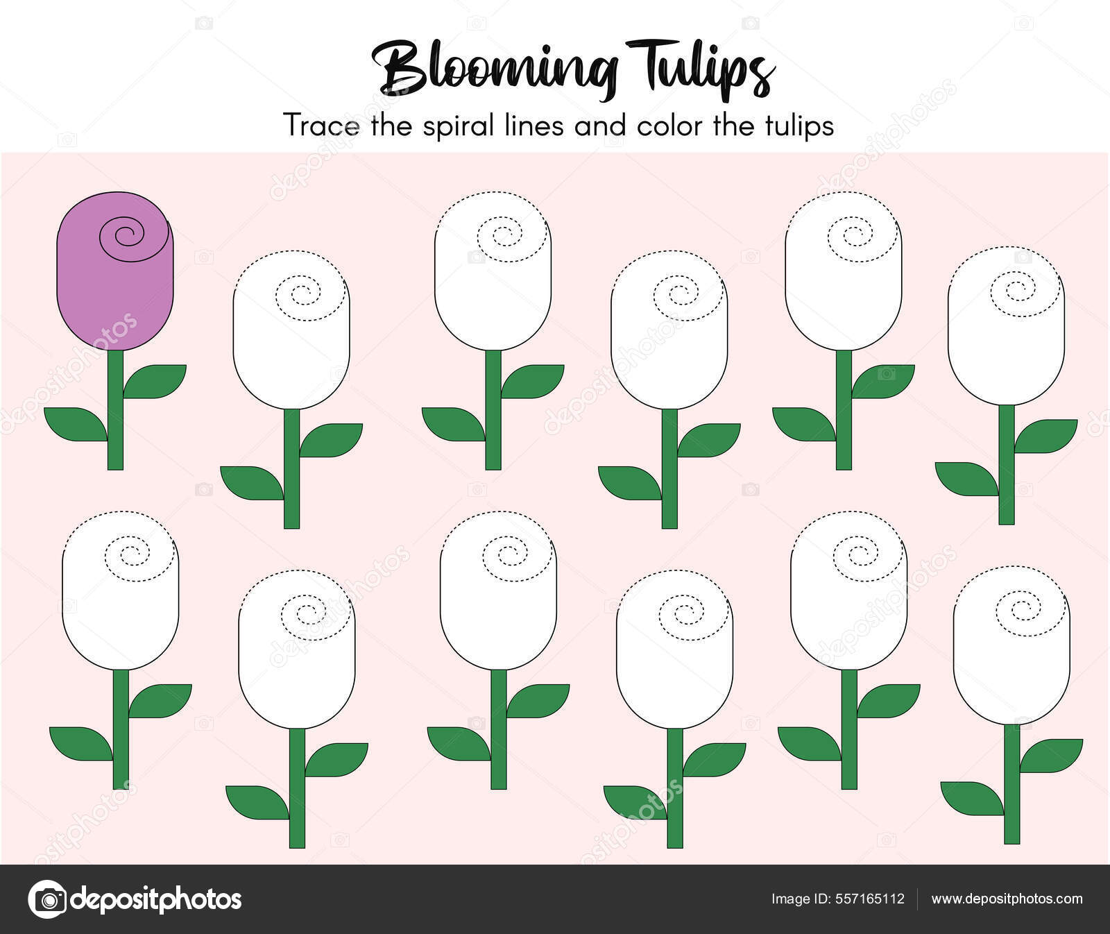Preschool Worksheet Trace Spiral Lines Color Tulips Vector Illustration ...