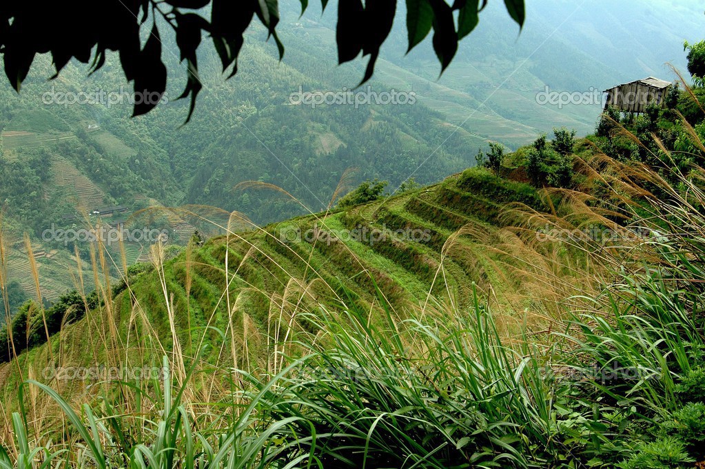China: Terraced Rice Paddies at Longsheng — Stock Photo © LeeSnider ...