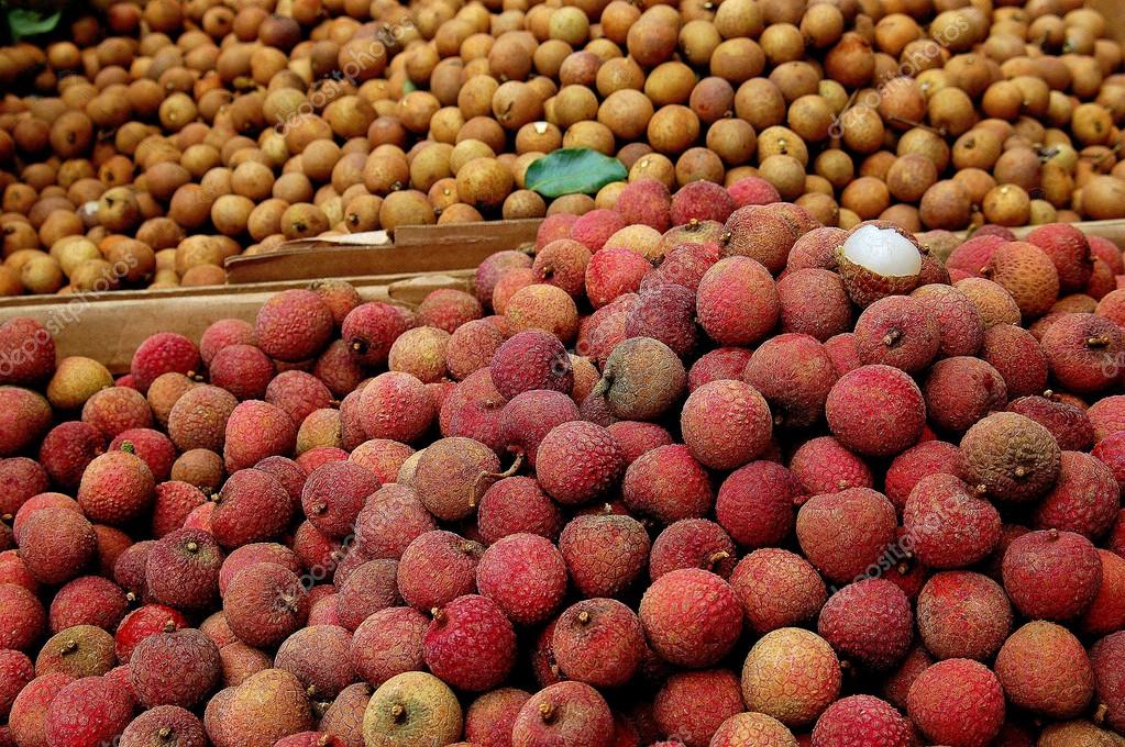 Des noix de Leechee et des longans dans le quartier chinois de New York ...
