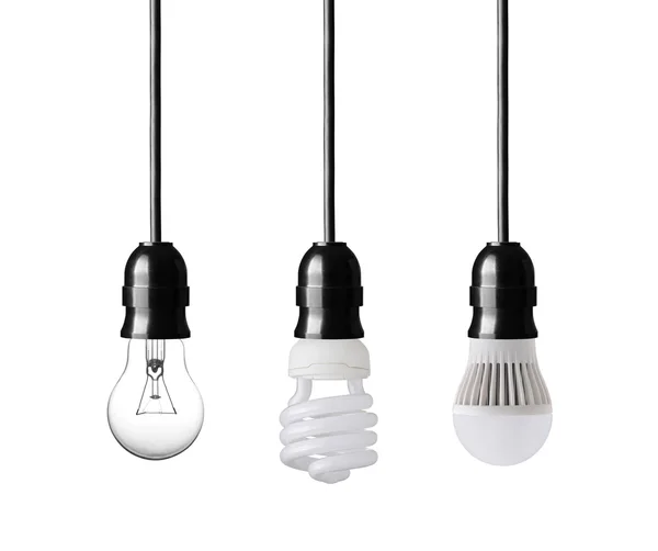 Evolution of light bulbs - Stock Image - Everypixel
