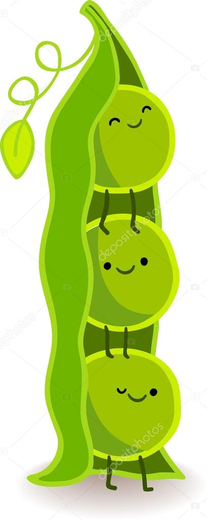 완두콩 포드 일러스트 — 스톡 벡터 © kostolom3ooo #33533431