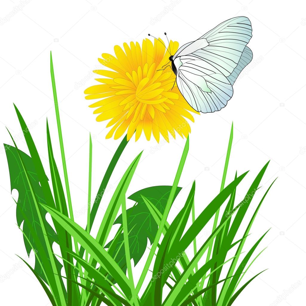Butterfly Resting On Flower Clip Art