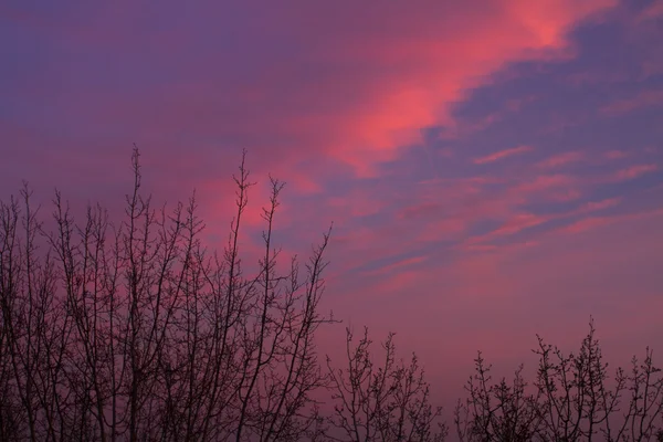 Cloudy pink sunset Images - Search Images on Everypixel